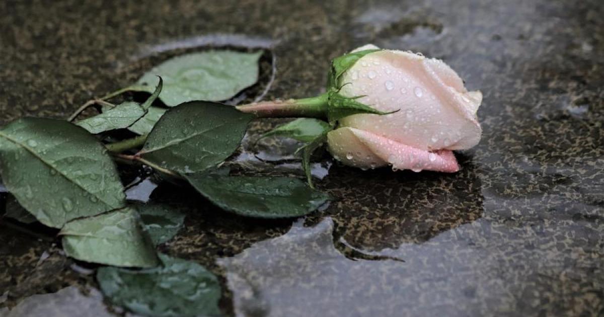 Døden - om sorg, sygdom og død | Horsens Kommunes Biblioteker