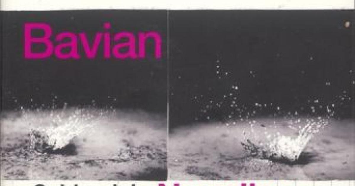 Bavian af Naja Marie Aidt | Horsens Kommunes Biblioteker